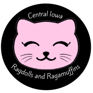 Home page - Central Iowa Ragdolls and Ragamuffins